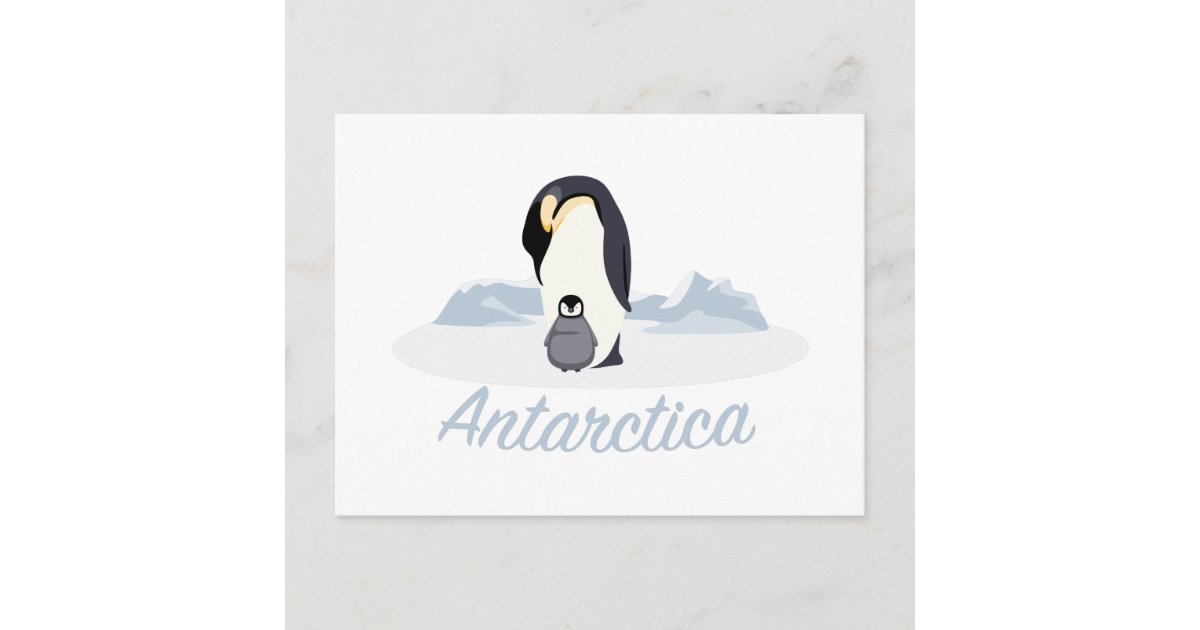 Antarctica Penguins Postcard | Zazzle