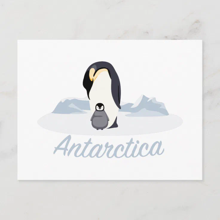 Antarctica Penguins Postcard | Zazzle