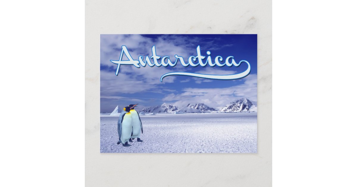 Antarctica Postcard | Zazzle