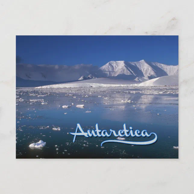 Antarctica Postcard | Zazzle
