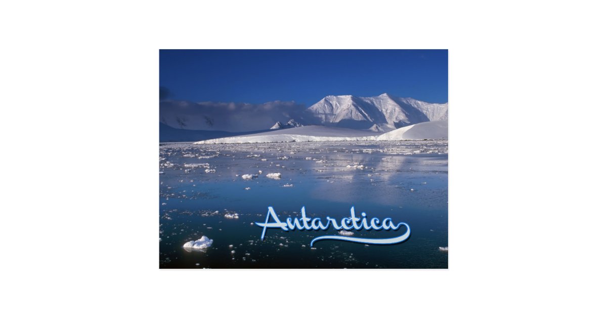 Antarctica Postcard | Zazzle.com