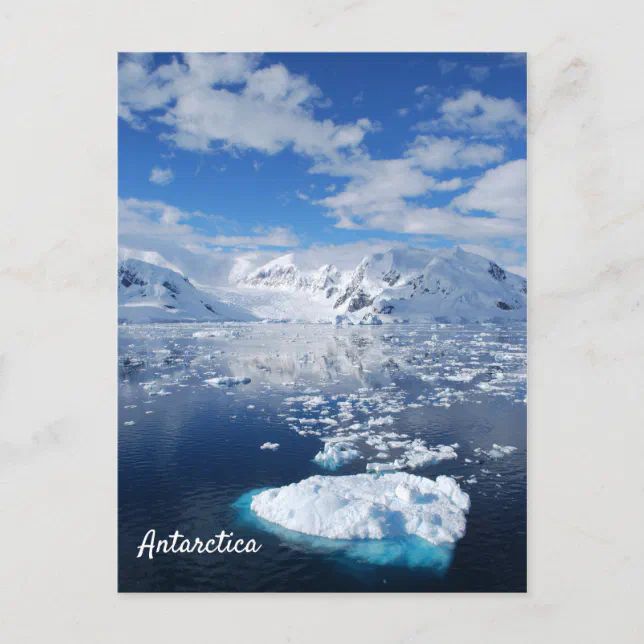 Antarctica Postcard | Zazzle
