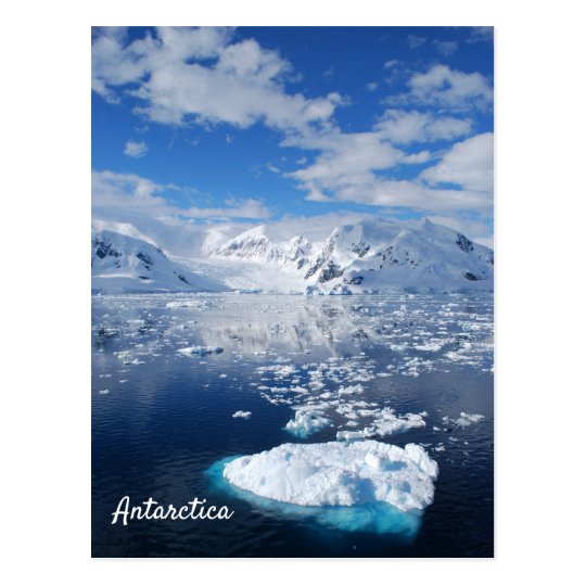 Antarctica Postcard | Zazzle.com