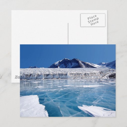 Antarctica Postcard | Zazzle