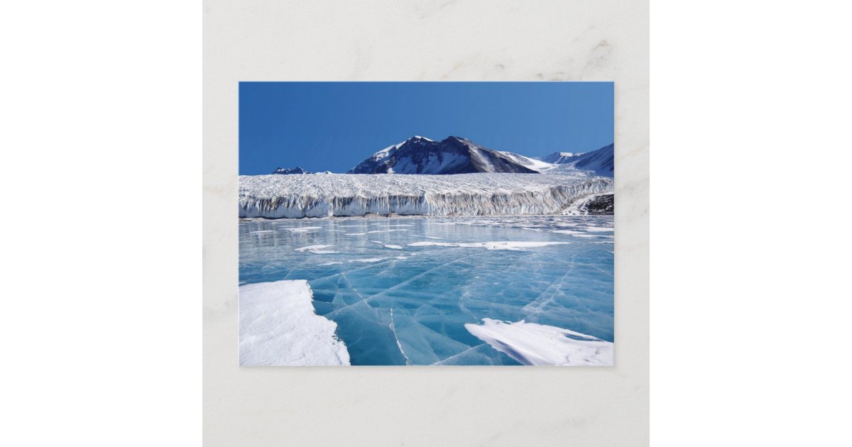 Antarctica Postcard | Zazzle