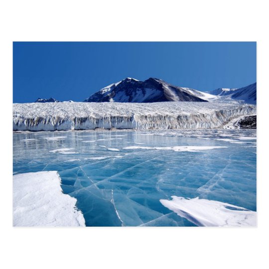 Antarctica Postcard | Zazzle.com