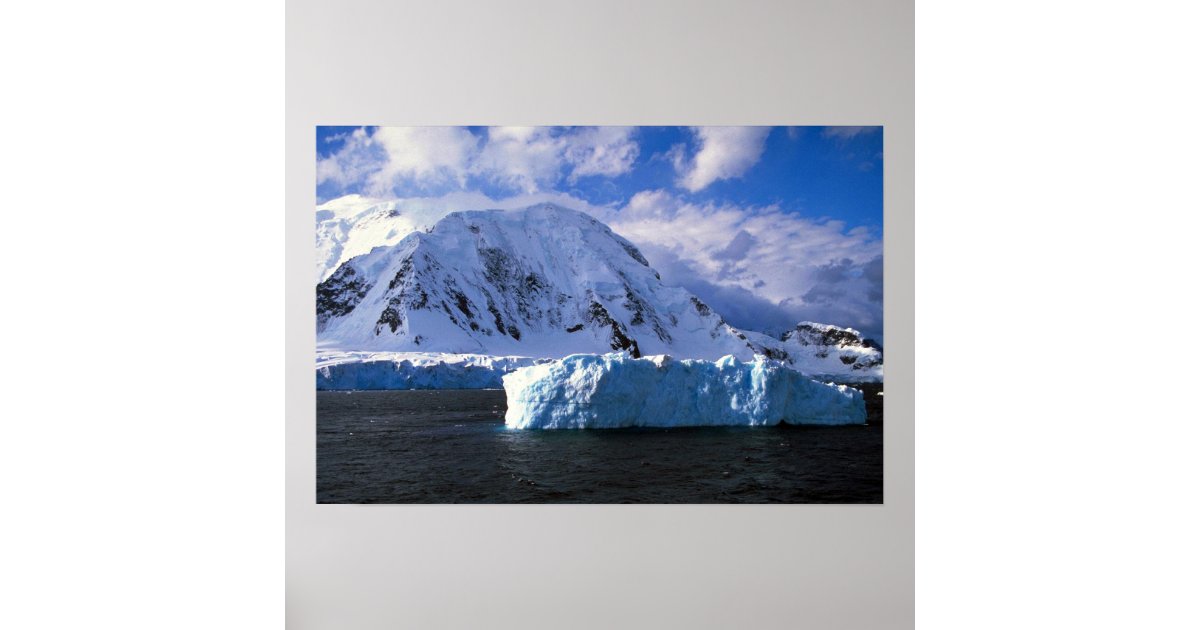 Antarctica Poster | Zazzle