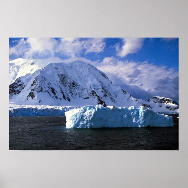 Antarctica Poster | Zazzle