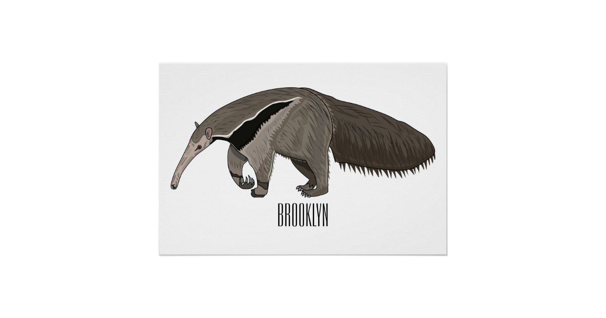 Anteater cartoon illustration poster | Zazzle