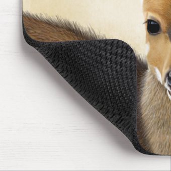 Antelope Bushbuck Young African Deer Drawing Mouse Pad | Zazzle