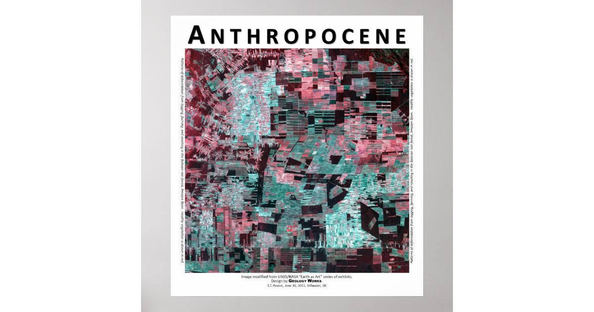 Anthropocene III - Bolivian Rain Forest Poster | Zazzle