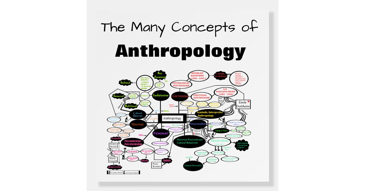 Anthropology Concept Map Foam Boards | Zazzle