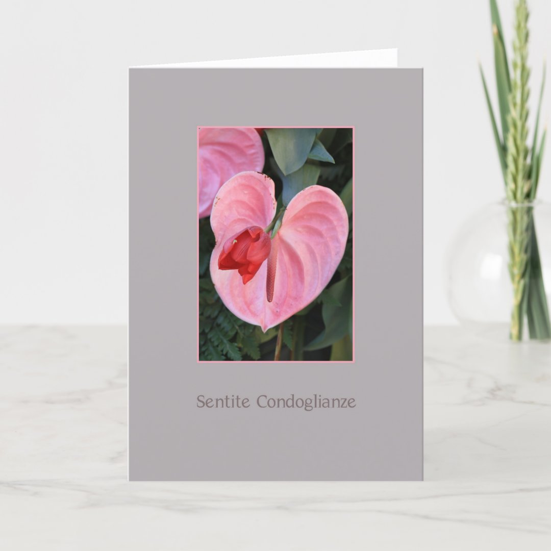 Anthurium sympathy card italian | Zazzle