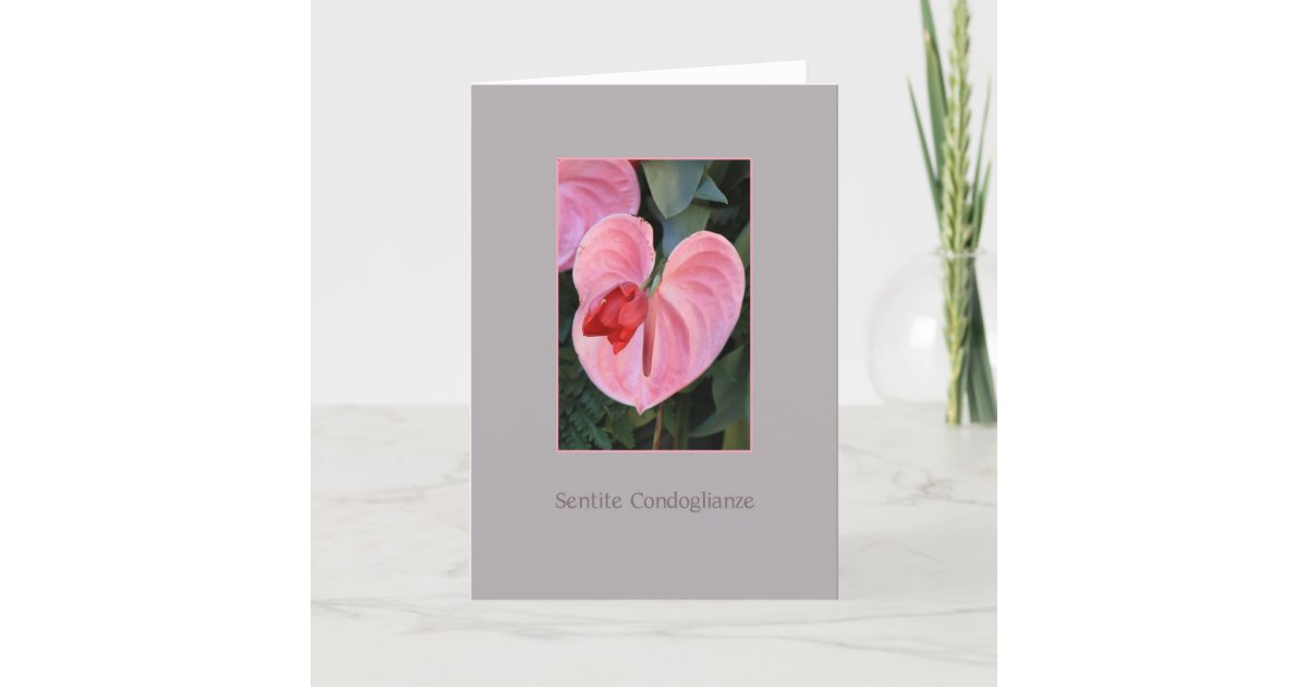 Anthurium sympathy card italian | Zazzle