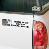 Anti Animal Abuse Sad Kitty Bumper Sticker | Zazzle