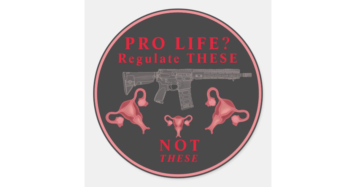 Anti Assault Gun Pro Choice Classic Round Sticker | Zazzle