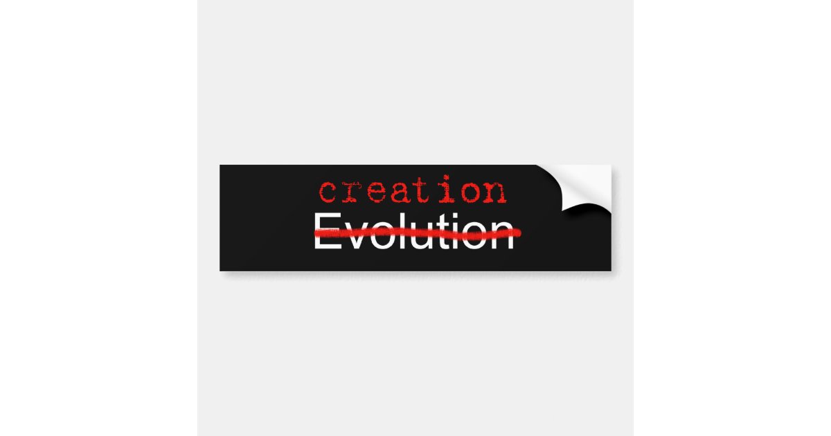 Anti Evolution Bumper Sticker | Zazzle