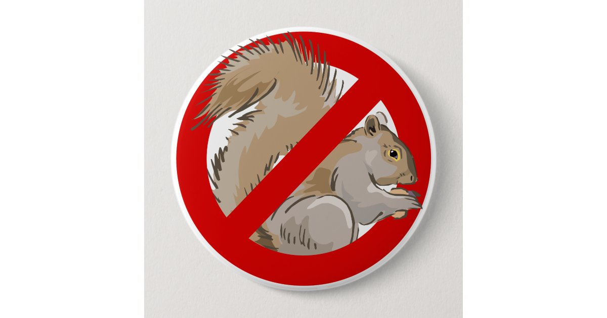 Anti-Squirrel Pinback Button | Zazzle