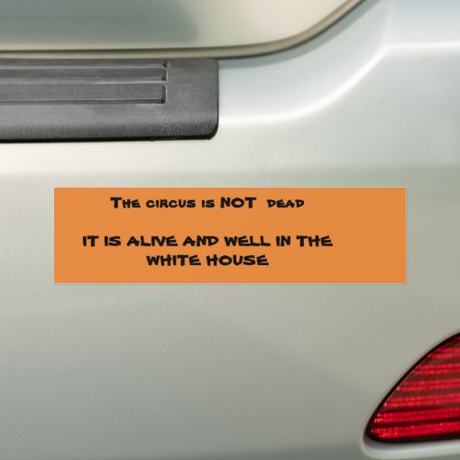Anti Trump bumper sticker | Zazzle