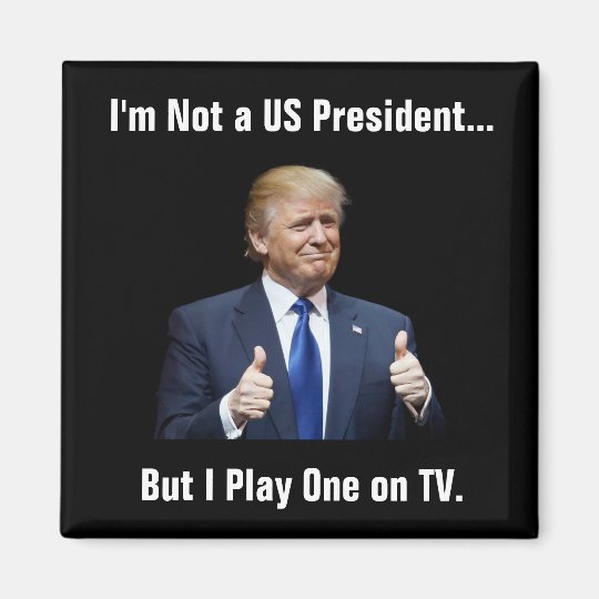 Anti-Trump Magnet | Zazzle.com
