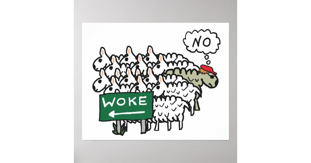 Anti Woke Poster | Zazzle