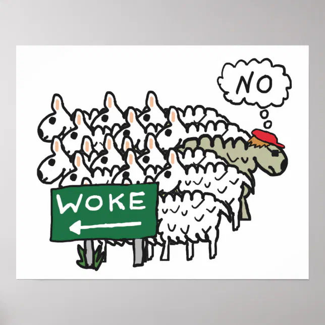 Anti Woke Poster | Zazzle