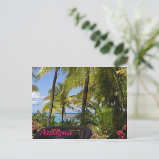 Antigua Postcard | Zazzle