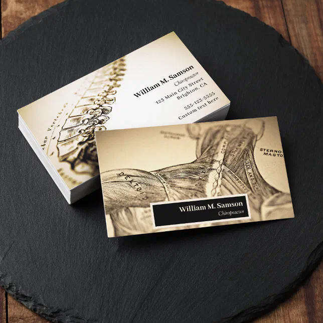 Antique anatomical illustration chiropractor business card | Zazzle