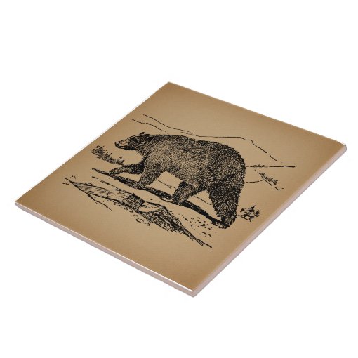Antique Bear Art Illustrated Vintage Bear Ceramic Tile | Zazzle