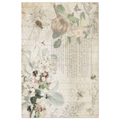 Antique Bee Botanical Ephemera Decoupage Tissue Paper | Zazzle