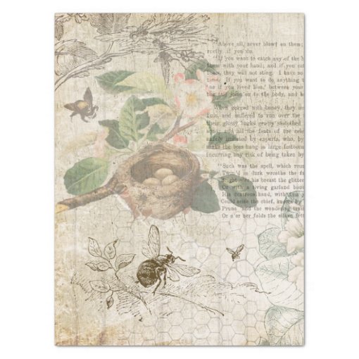 Antique Bee Botanical Ephemera Decoupage Tissue Paper | Zazzle