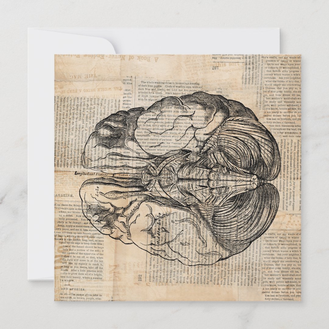 Antique Brain Diagram Old Fashioned Art Invitation | Zazzle