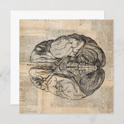Antique Brain Diagram Old Fashioned Art Invitation | Zazzle