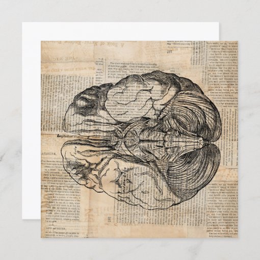 Antique Brain Diagram Old Fashioned Art Invitation | Zazzle