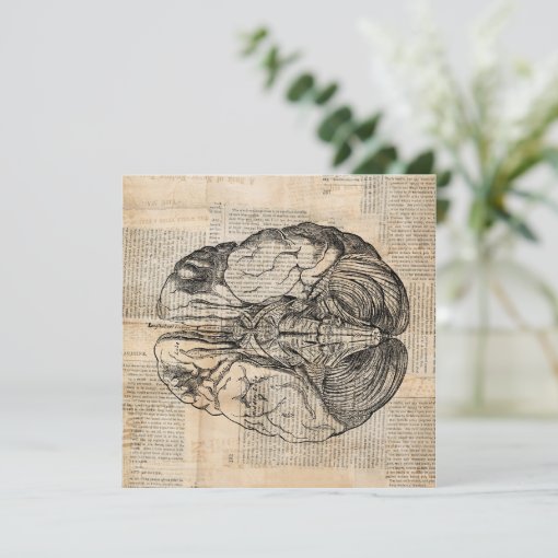 Antique Brain Diagram Old Fashioned Art Invitation | Zazzle