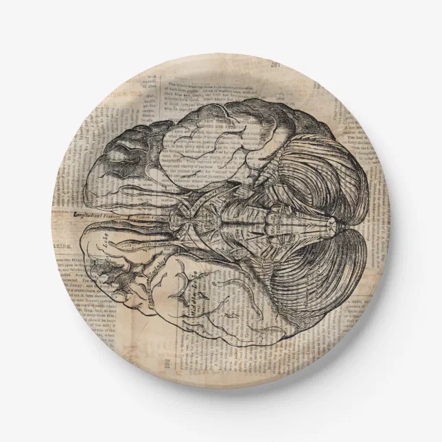 Antique Brain Diagram Old Fashioned Art Paper Plates | Zazzle
