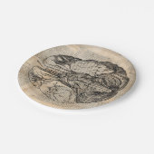 Antique Brain Diagram Old Fashioned Art Paper Plates | Zazzle
