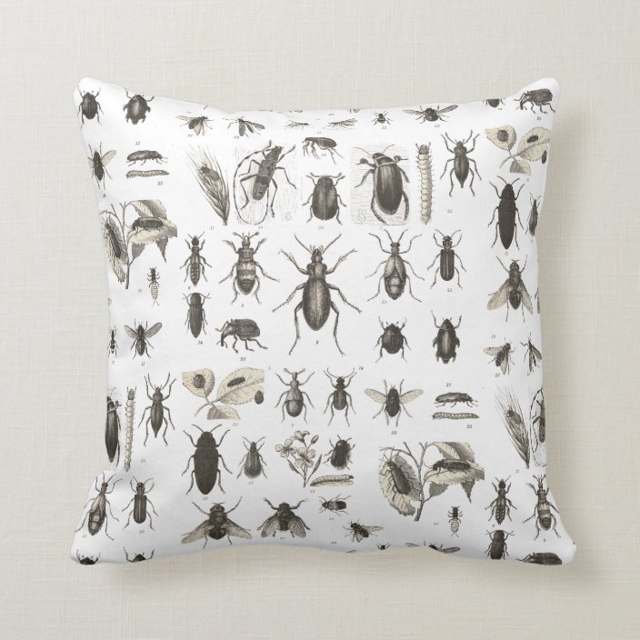 Antique Bugs and Insects Entomology Throw Pillow | Zazzle.com