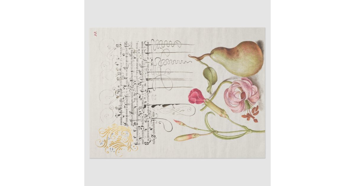 Antique Calligraphy and Drawing Tissue Paper | Zazzle