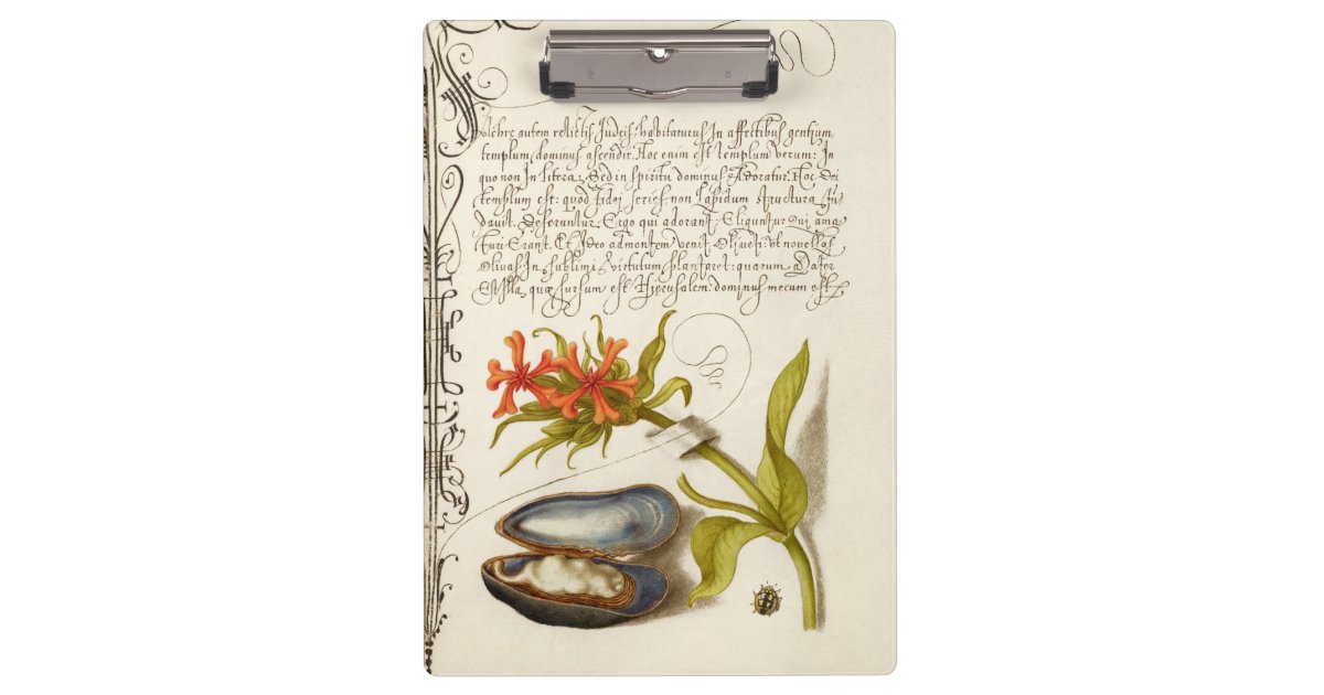 Antique calligraphy text botanical illustration clipboard | Zazzle
