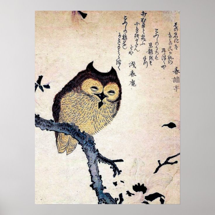 Antique Chinese Owl Print Poster | Zazzle