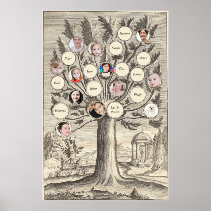 Antique Family Tree Insert Your Own Names & Photos Poster | Zazzle