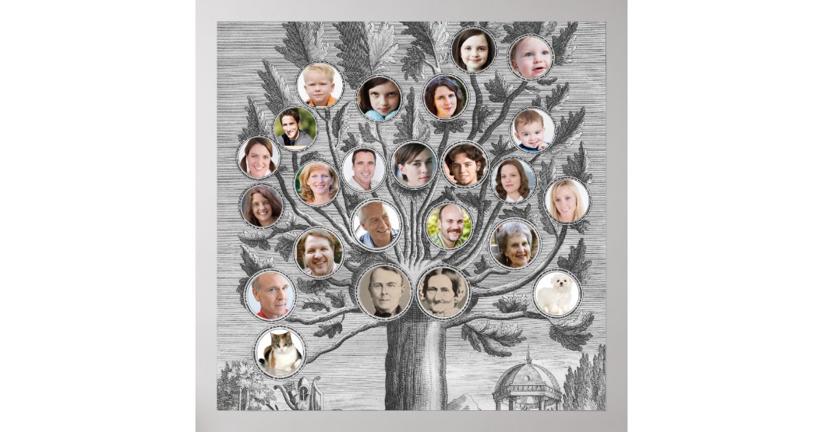 Antique Family Tree Insert Your Own Names & Photos Poster | Zazzle