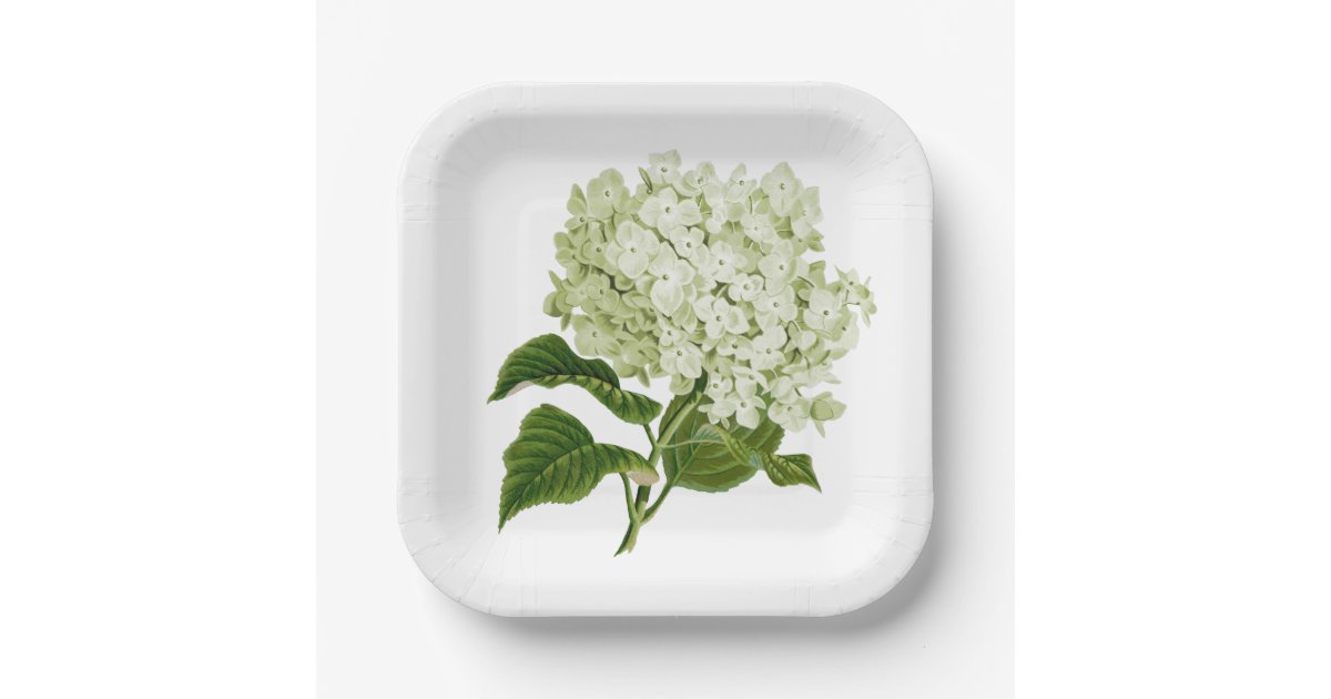 Antique Light Green and White Hydrangea Blossom Paper Plates | Zazzle
