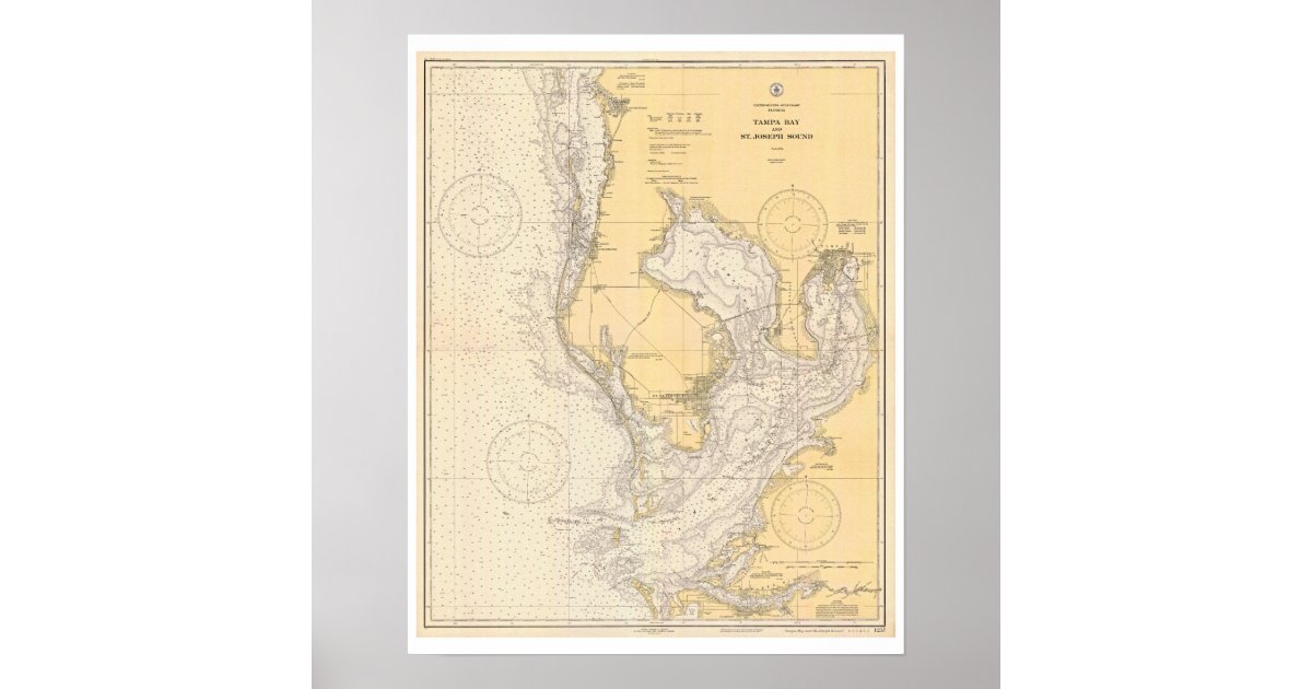 Antique Map of Tampa Bay Florida Poster | Zazzle