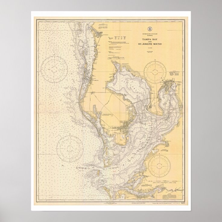 Antique Map of Tampa Bay Florida Poster | Zazzle