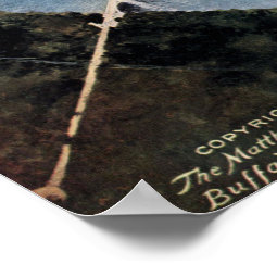 Antique Map of Washington DC and the Potomac River Poster | Zazzle