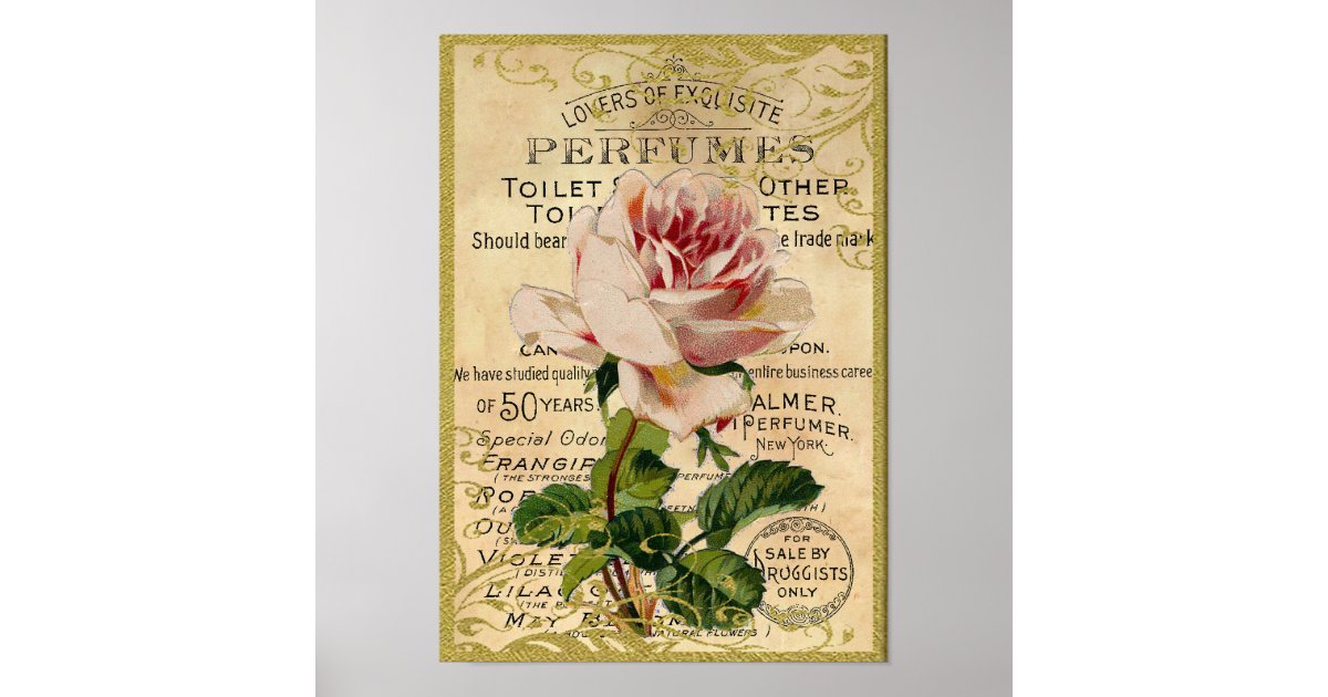 Antique Pink Roses Perfume Poster | Zazzle