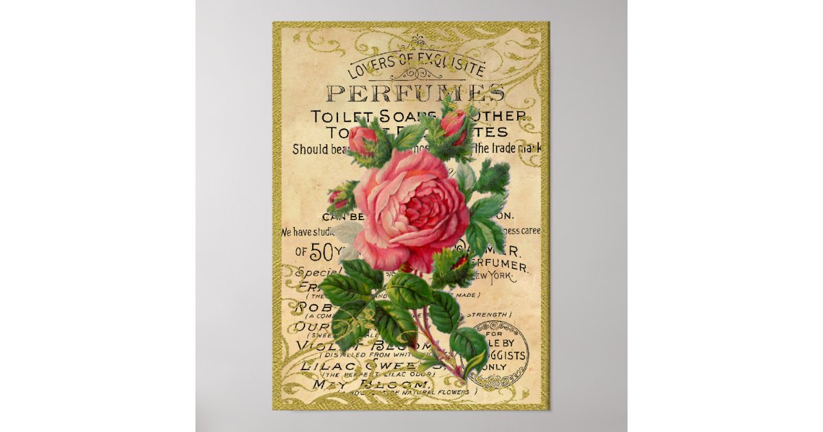 Antique Pink Roses Perfume Poster | Zazzle