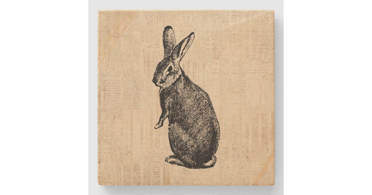 Antique Rabbit Illustration Bunny Art with Script Stone Coaster | Zazzle